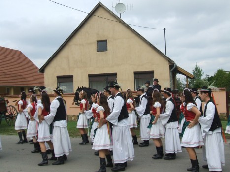 The Grape Ripens and the Dance Begins - Make Heritage Fun!