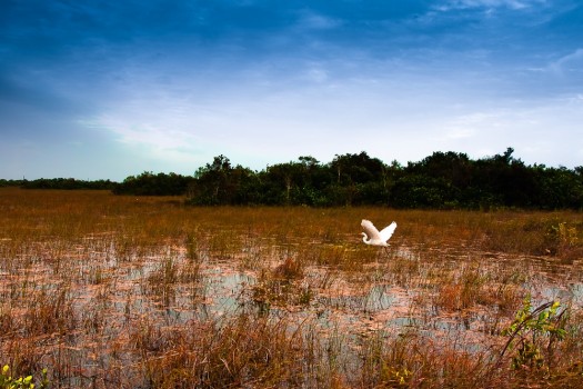 Ticking Time Bombs: Threats to World Heritage Sites in Danger - Make ...