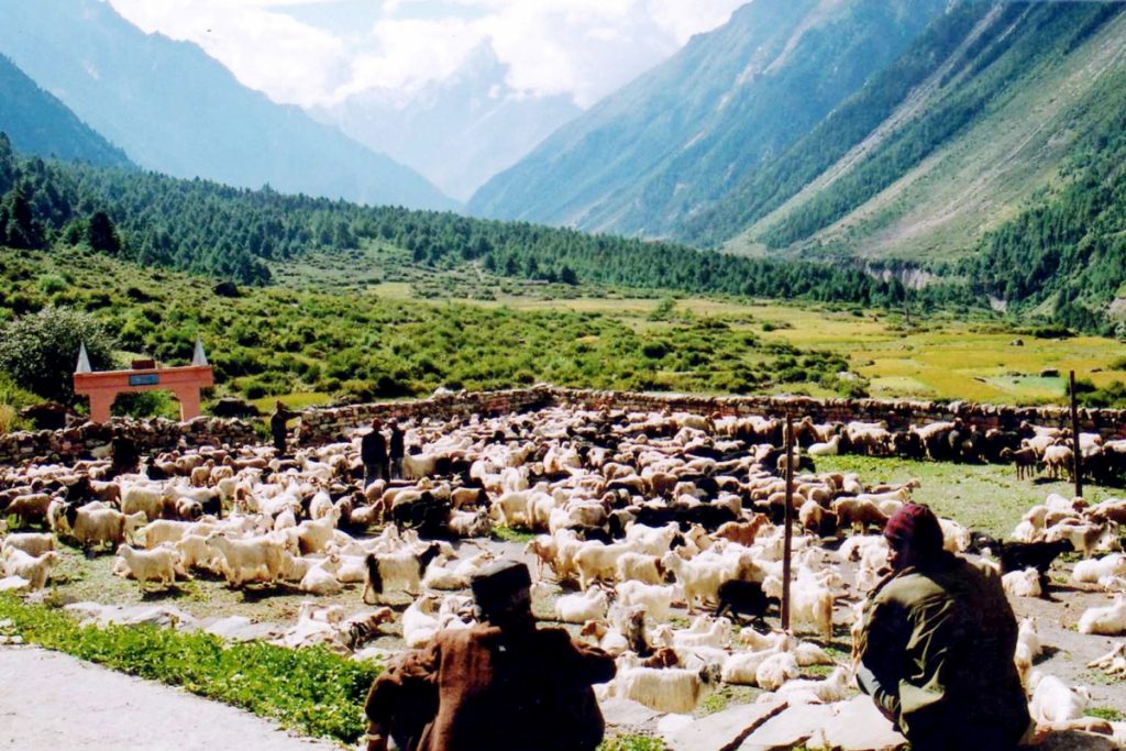 Food and Spices of the Bhotia community in Uttarakhand - Go UNESCO ...