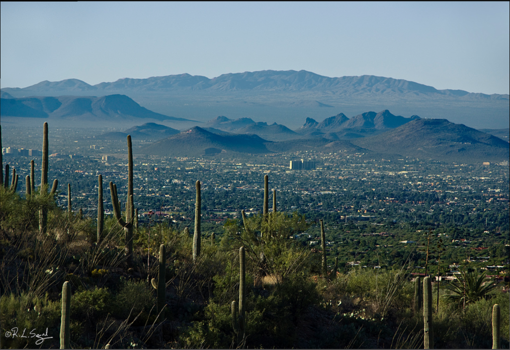 Exploring America's first gastronomical capital: Tucson - Make Heritage ...