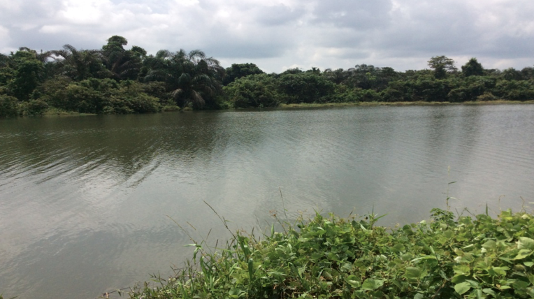 The New Calabar River - Make Heritage Fun!