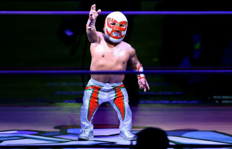 Mexico's dwarf wrestlers fight back against mockery to become stars