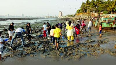 Changing Scenery of Beaches