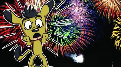 Don’t Bomb-ard Animals