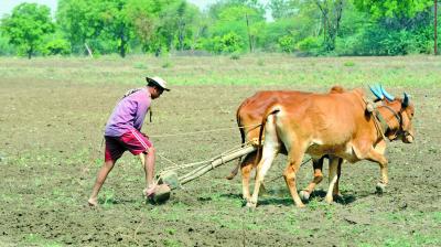 Group farming will double rural incomes: State