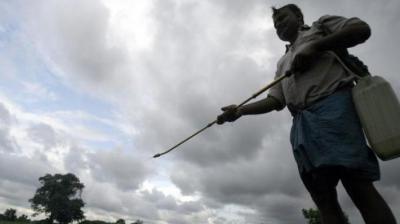 36 farmers die after inhaling lethal pesticides in Maharashtra's Yavatmal