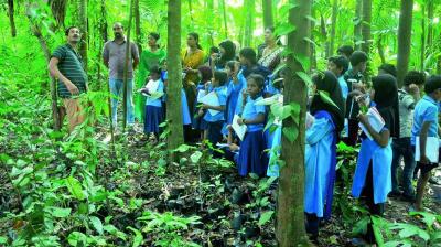 Lessons in conservation