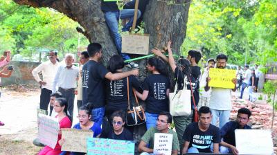 A ‘Chipko-like’ movement to protest felling of trees
