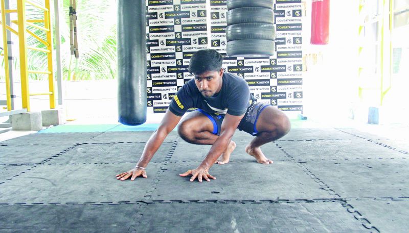 The animal in your workout