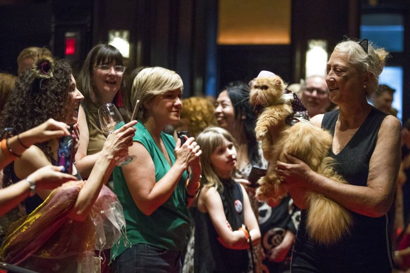 Kitty walks the ramp: Fashion show for cats sees benefits go to animal ...