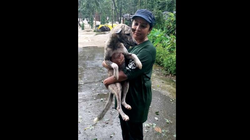 Sludge and clay fail sniffer dogs at Kavalappara site