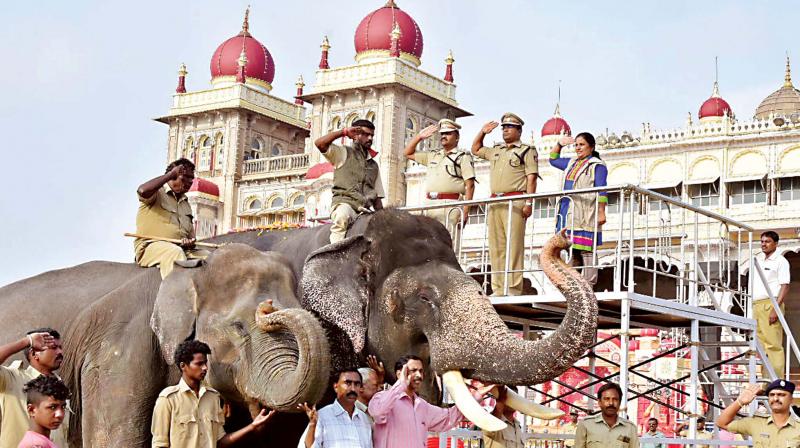 Two days to go: Jumbos ready for Tuesday’s grand finale
