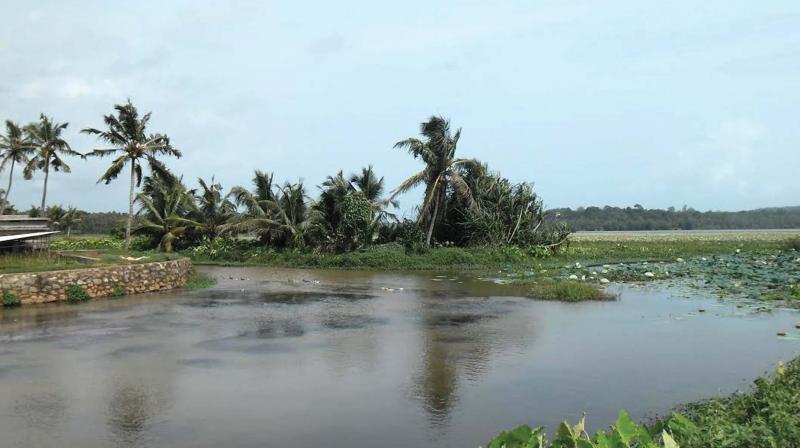 Kerala yet to demand funds for Vellayani lake