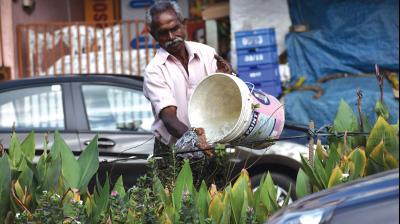 (Photo: Nathan Mathew Verghese)