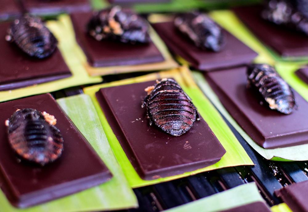 Mexico's food festival offers scorpion canapes and corn tortilla with worms
