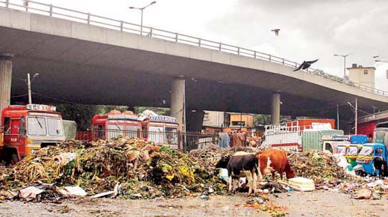 Time to tax BBMP on uncleared trash?