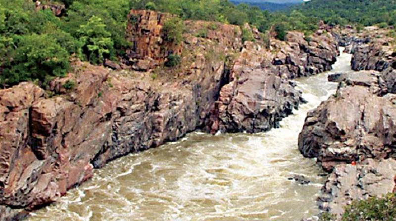 Mekedatu project report in nine months, says DK Shivakumar