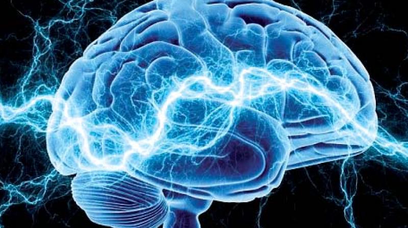 Bengaluru: Student sets brains ticking with ‘Blue Brain’ tech