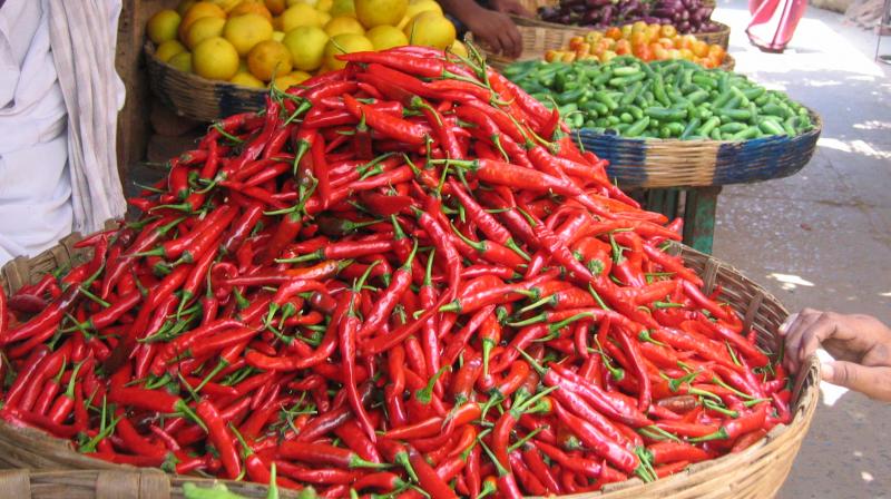Guntur: YSRC demands MSP for chillies