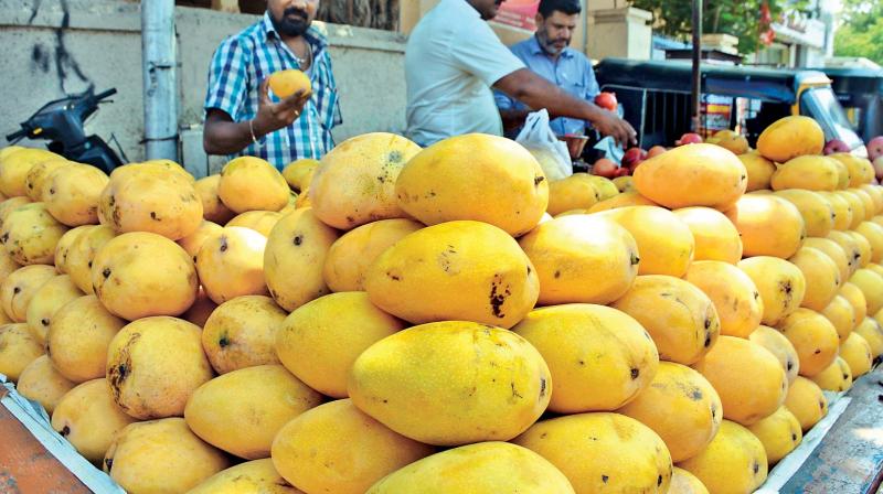 Banganapalle mangoes get geographical indication tag