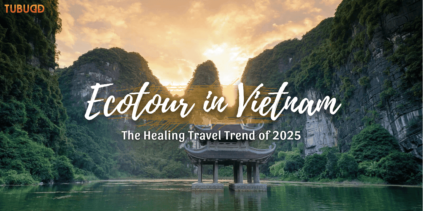Ecotour in Vietnam: The Healing Travel Trend of 2025