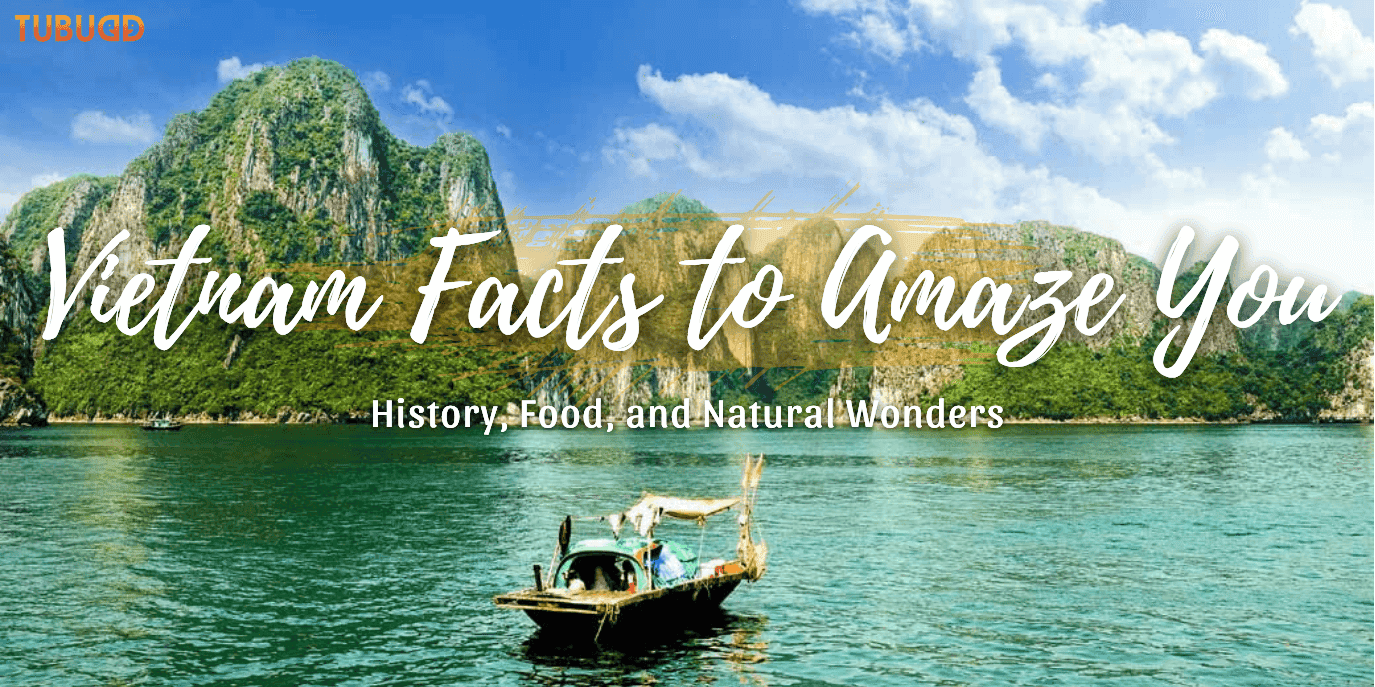 Vietnam Facts to Amaze You: History, Food, and Natural Wonders