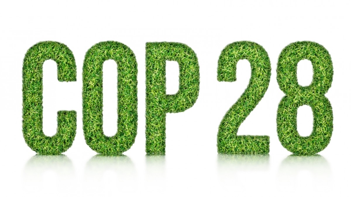 COP 28 India Inc Takeaways COP 28 India Inc Takeaways