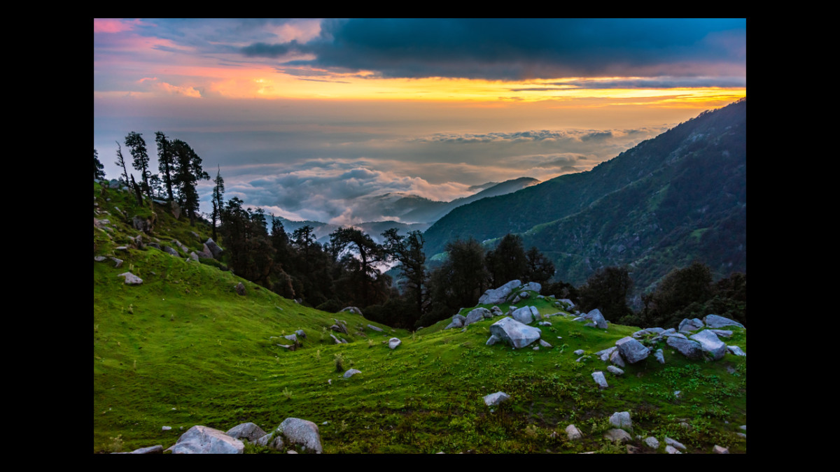 The Many Charms Of Dharamshala