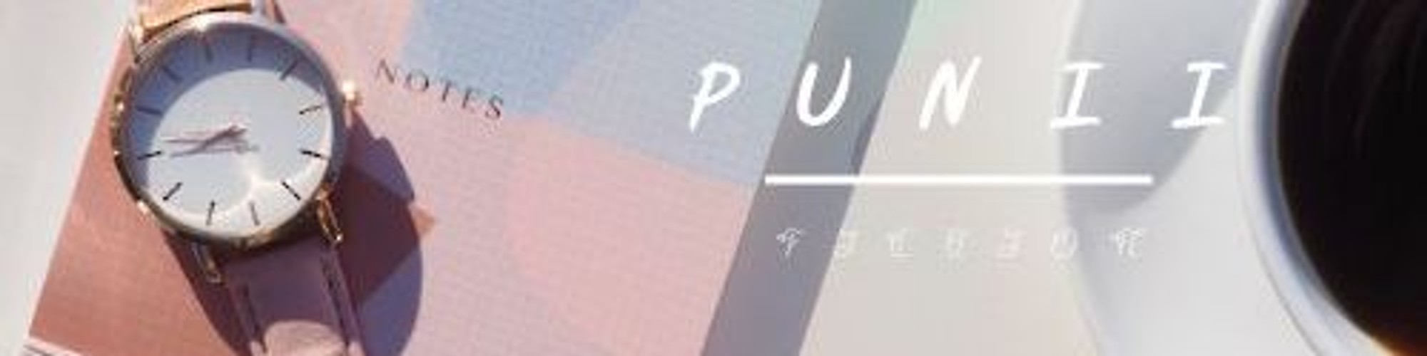 Punii | Fictionlog นิยายออนไลน์ นิยายแปล เว็บตูนถูกลิขสิทธิ์ สนุกครบรส!