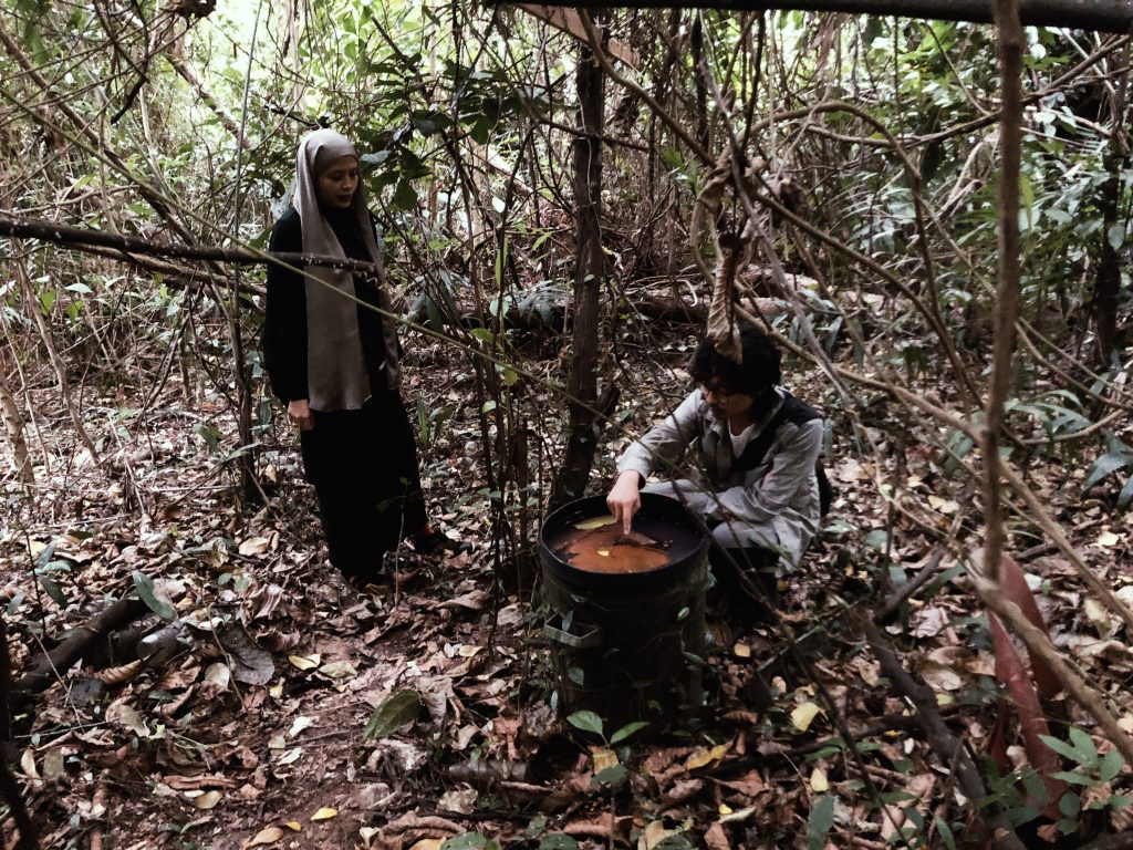 Robert Zhao Renhui: “Nature is not what we can dominate, but what comes ...