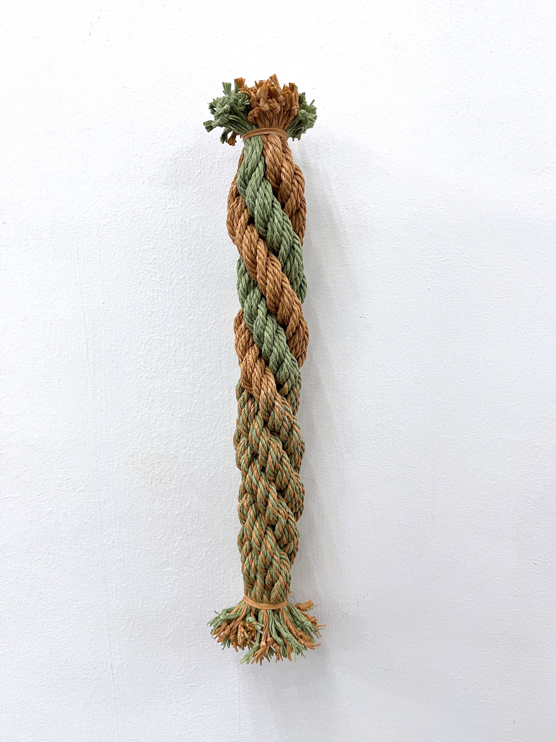 Tiffany Loy – S.E.A. Focus