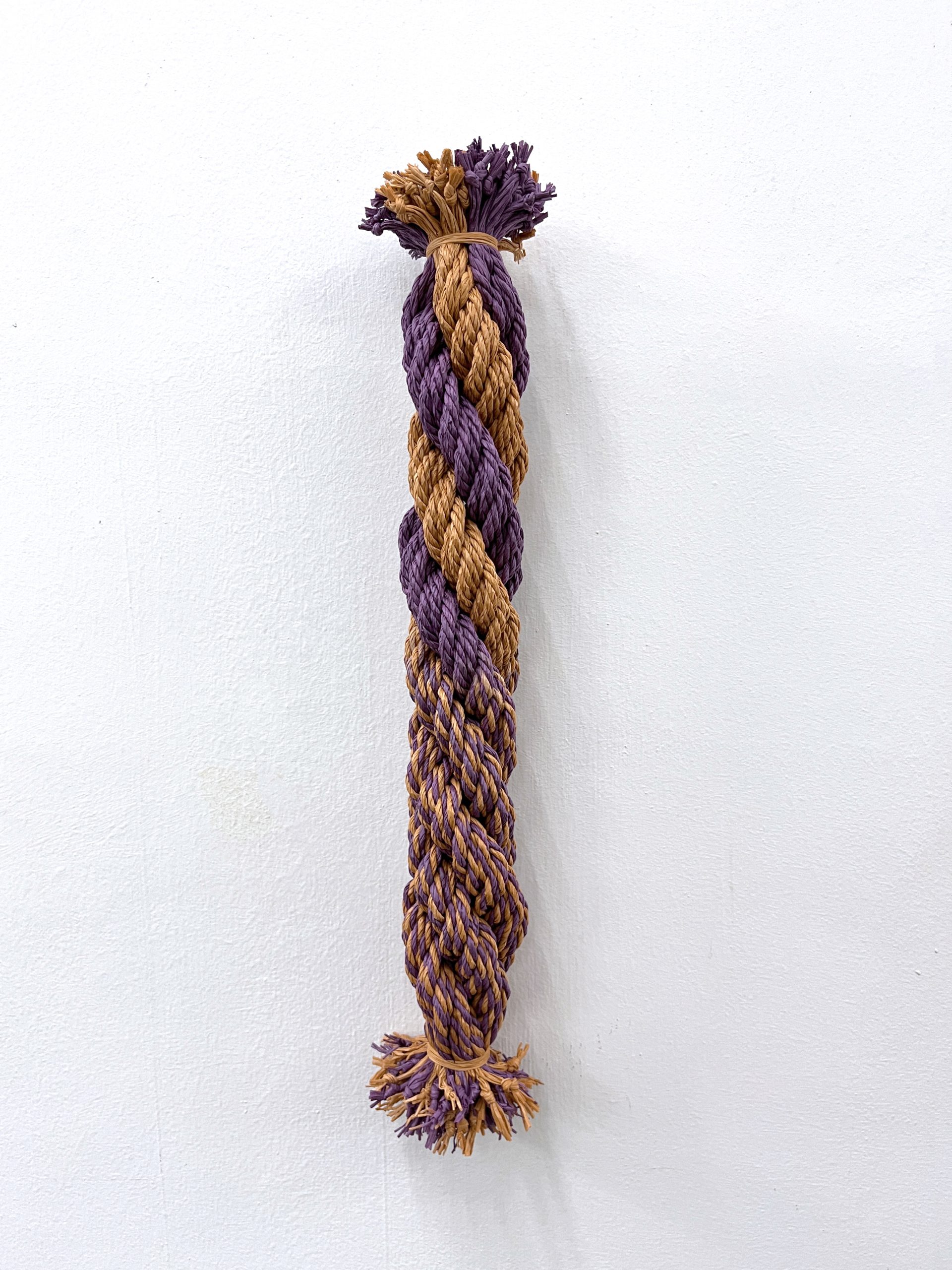 Tiffany Loy – S.E.A. Focus