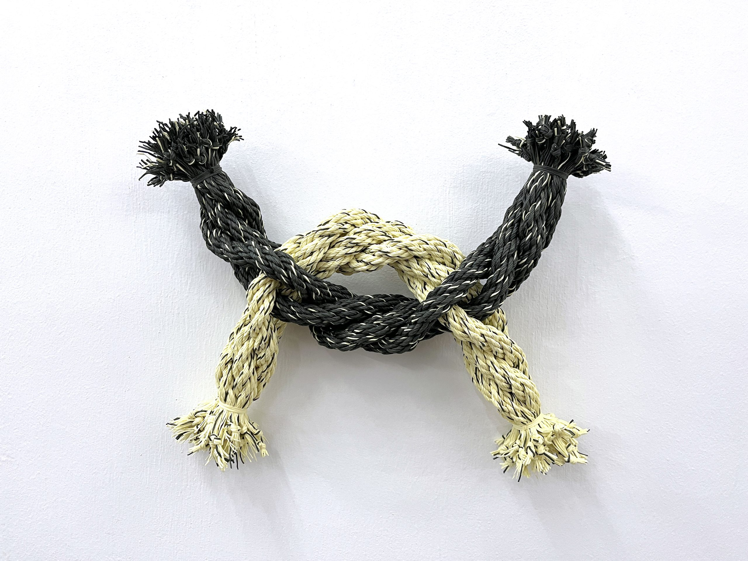 Plied Colour Lexeme 05 – S.E.A. Focus