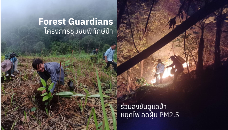 ชุมชนพิทักษ์ป่า Forest Guardians | เทใจดอทคอม