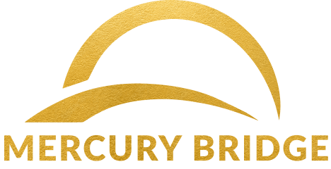 Mercury Bridge - Real IT Solutions. No Fuss. No Jargon.