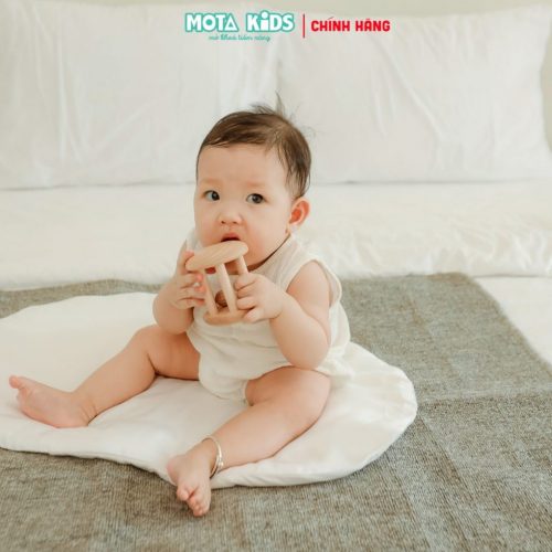 Đồ chơi Montessori Mota Kids 6-9 tháng