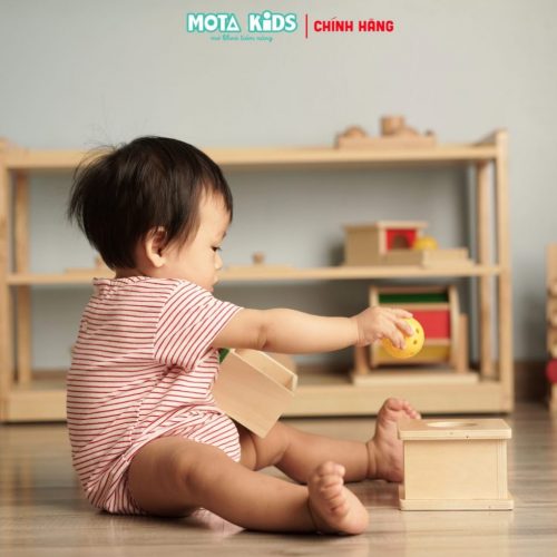 Đồ chơi Montessori Mota Kids 9-12 tháng - Mota | Montessori