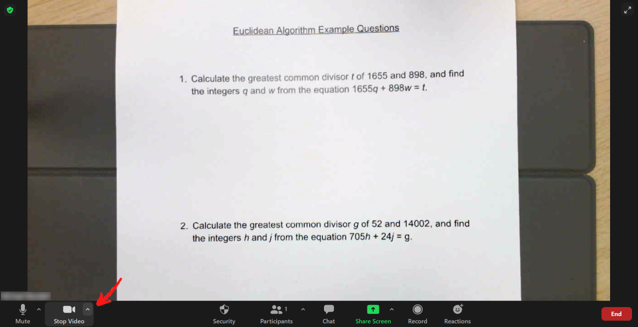 Document Camera for Zoom - How to Share Your Face & Doc Cam