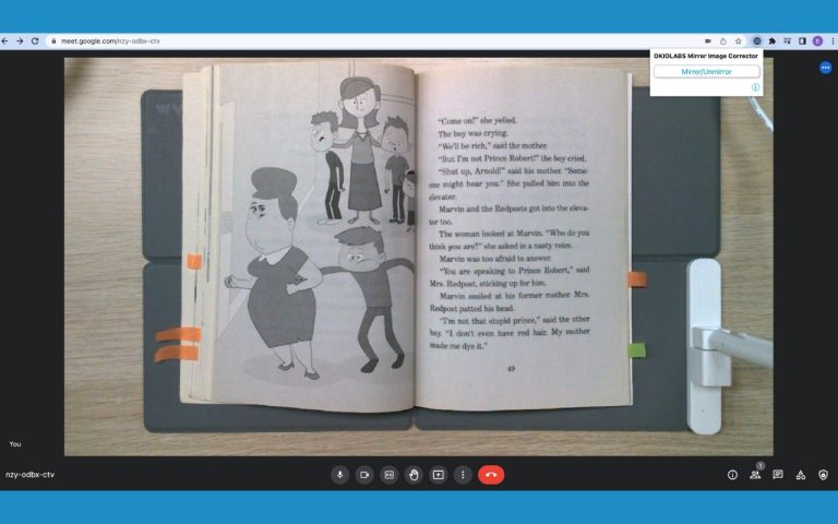 Google Meet Mirror Camera - How to Mirror & Unmirror Camera