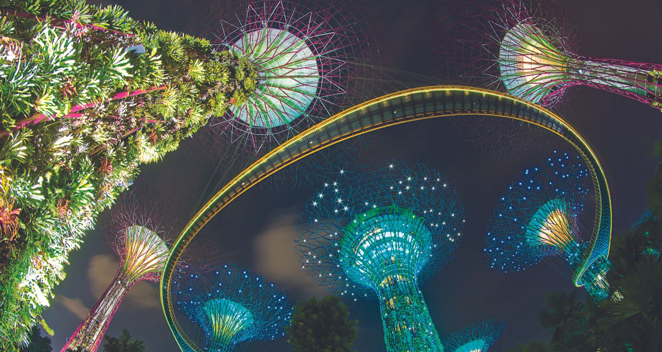 City Tours - Flower Dome & Supertree Observatory