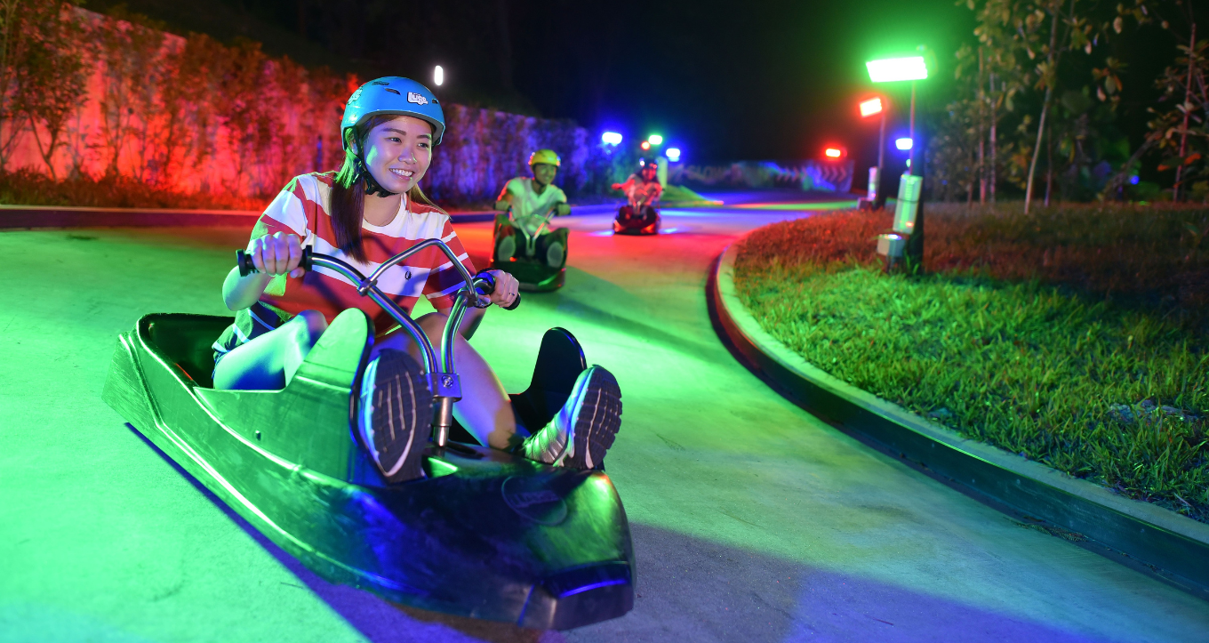 City Tours - Sentosa Luge & Skyride (2 Rounds) + Luge merchandise