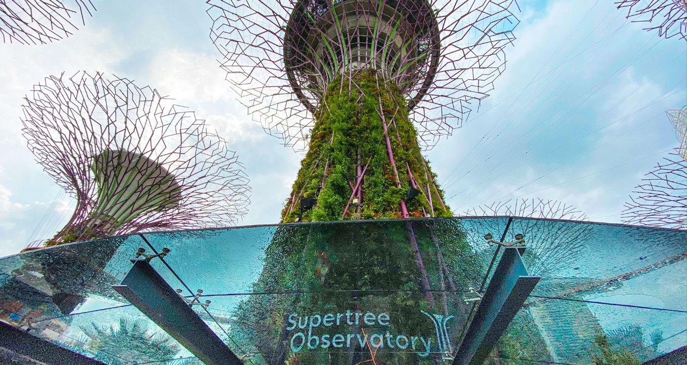 City Tours - Cloud Forest & Supertree Observatory