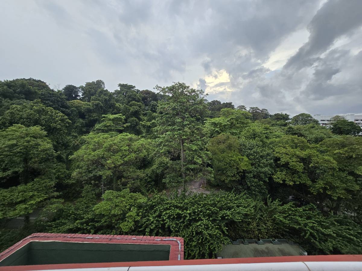 Mount Faber Lodge Condominium For Sale, $4,980,000, 5 Bed 4 Bath 3,701 ...