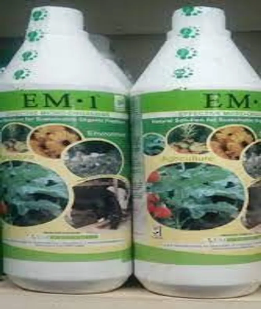 Em 1| Kalimoni Greens