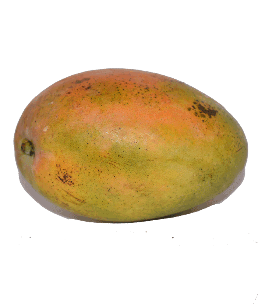 Organic Ngowe Mango: Indulge In The Finest Exotic Seasonal Fruit At ...