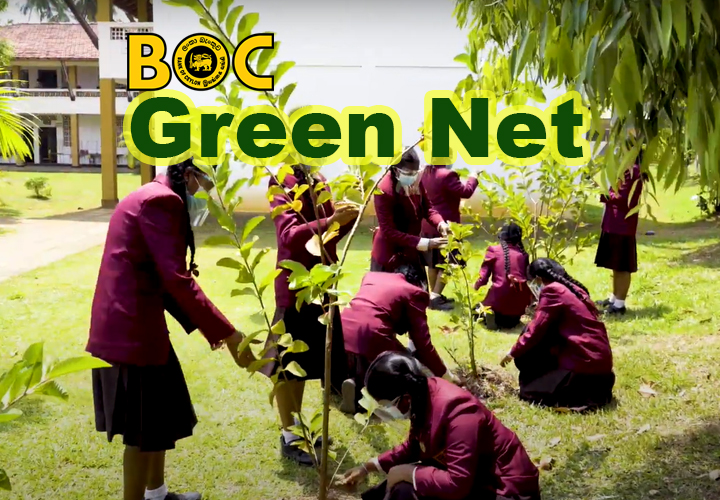 Sustainability at BOC | Bank of Ceylon's Commitment to a Better Future ...