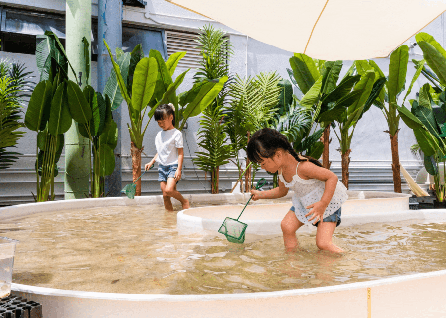 Where to go longkang fishing in Singapore - HoneyKids Asia