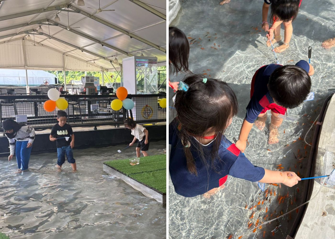 Where to go longkang fishing in Singapore - HoneyKids Asia