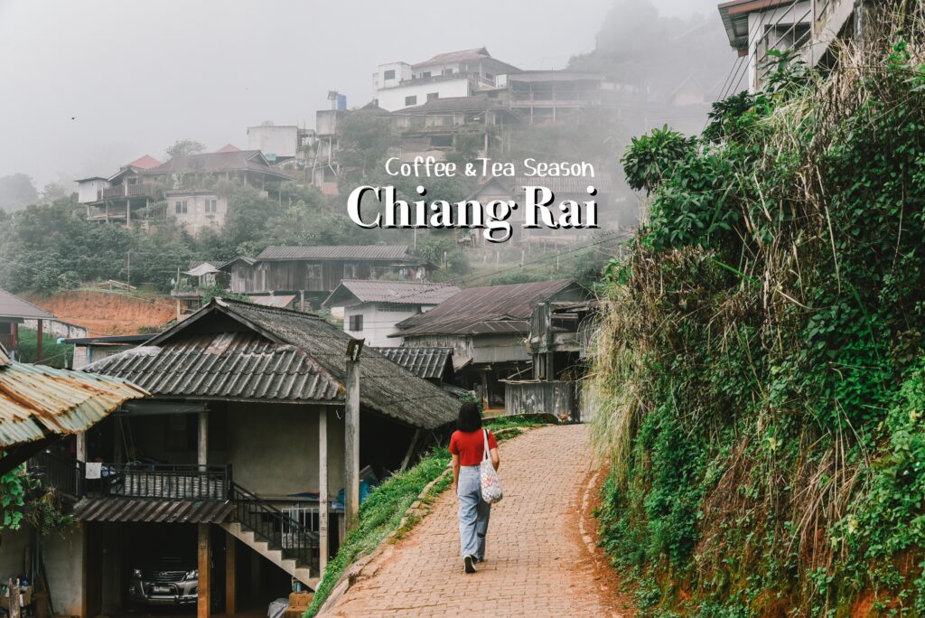 รีวิวเชียงราย : Chiang Rai Coffee &Tea Season - VietjetAir.Com