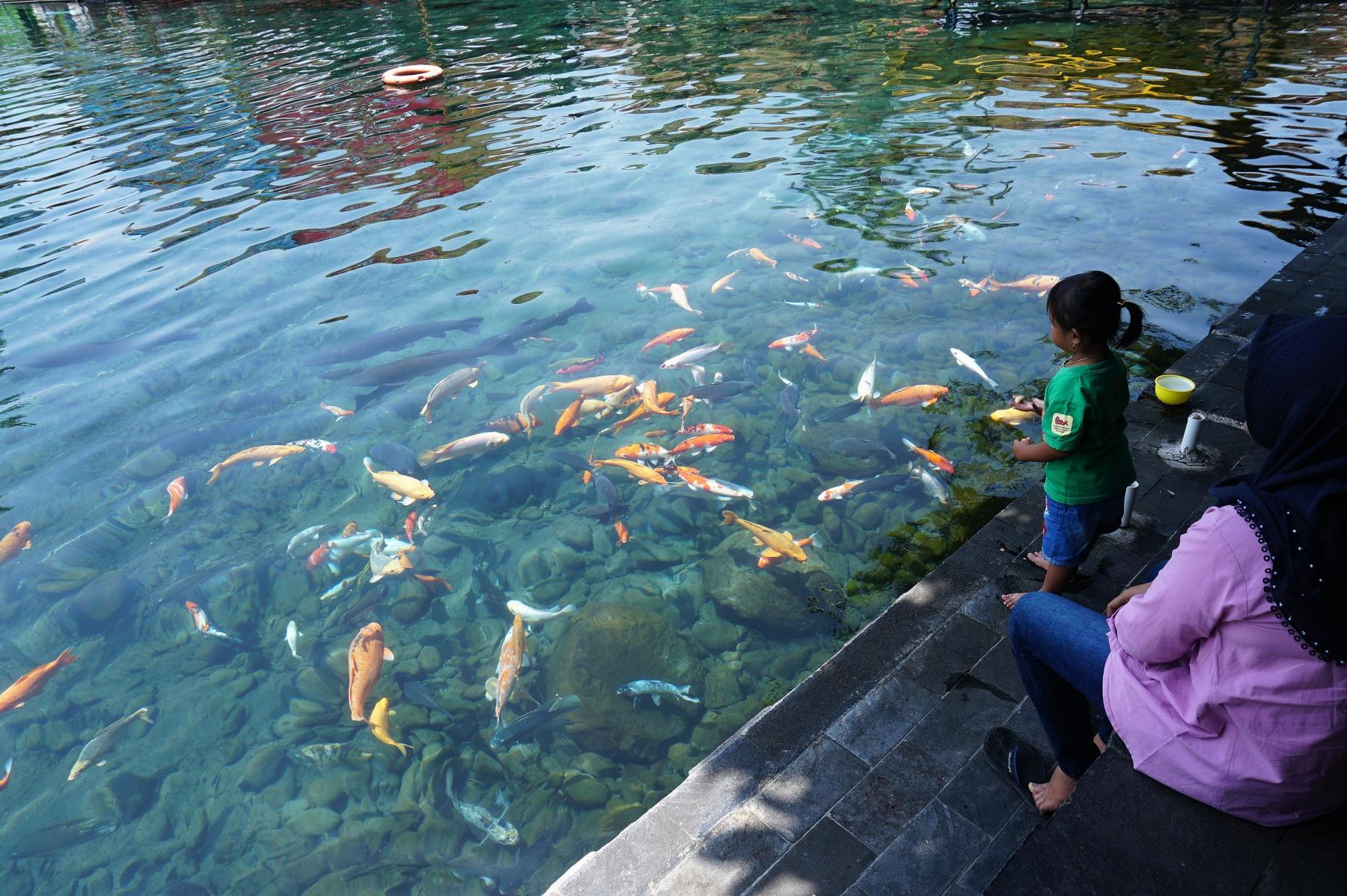 Umbul Ponggok is full of fresh ideas for your holiday snaps ...